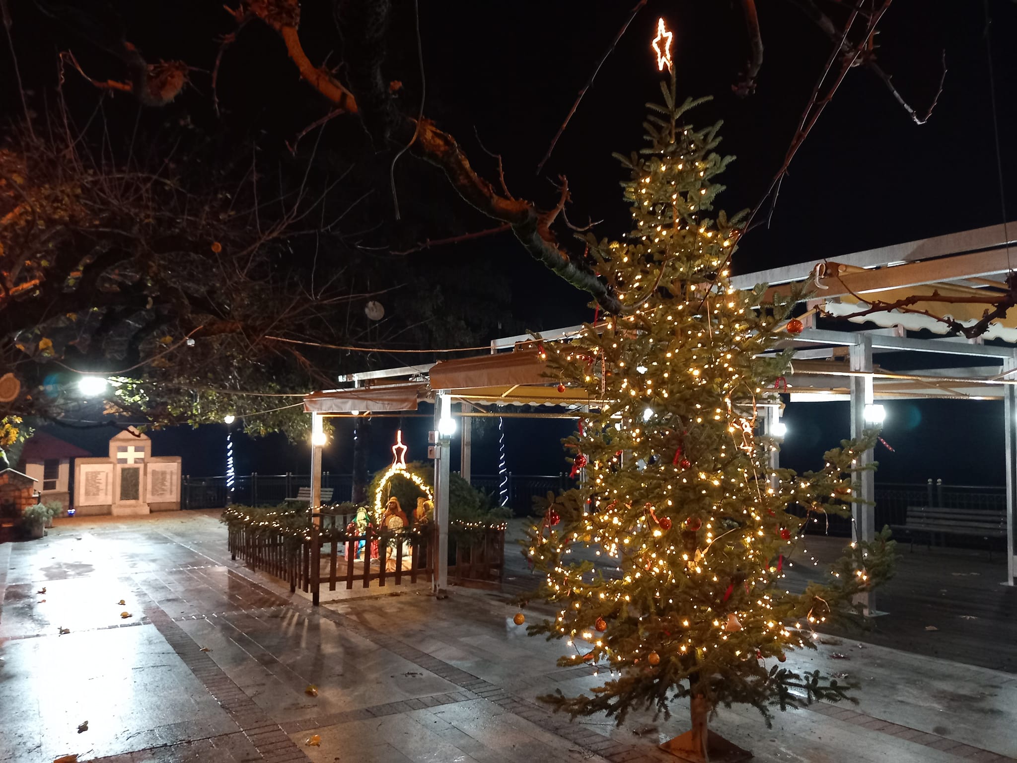 Φωταγωγήσαμε τα Χριστουγεννιάτικα Δέντρα στις 4 Δημοτικές Κοινότητες ...